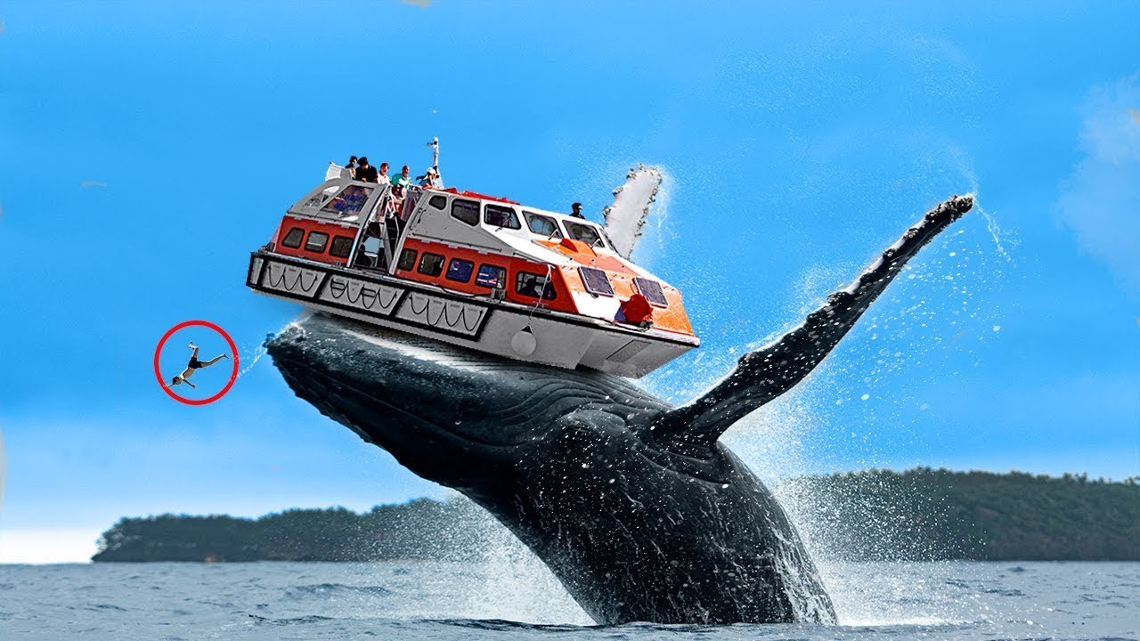 10 CRAZIEST INCIDENTS THAT ACTUALLY HAPPENED - YouTube