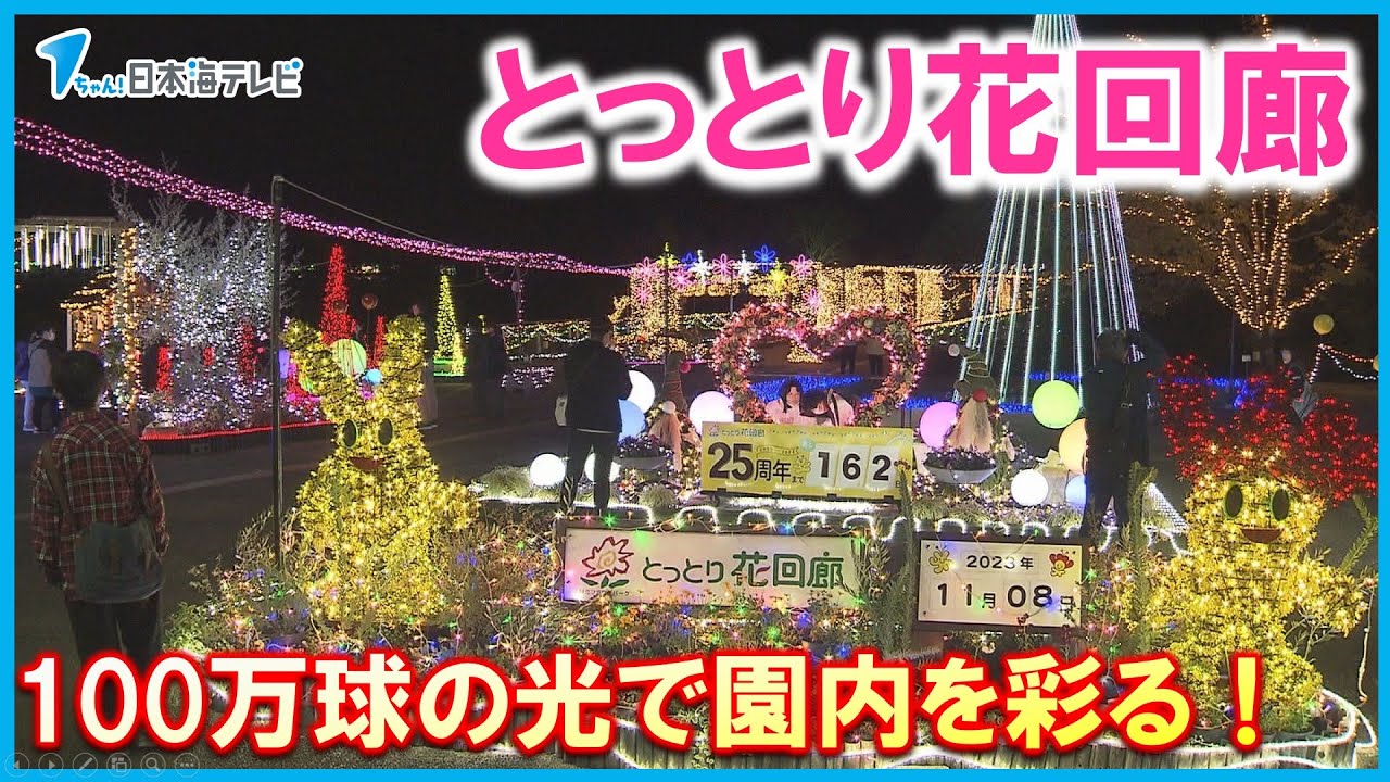 【100万球の光で園内を彩る!】とっとり花回廊“フラワーイルミネーション”で夢のようなひとときを 鳥取県南部町 Youtube