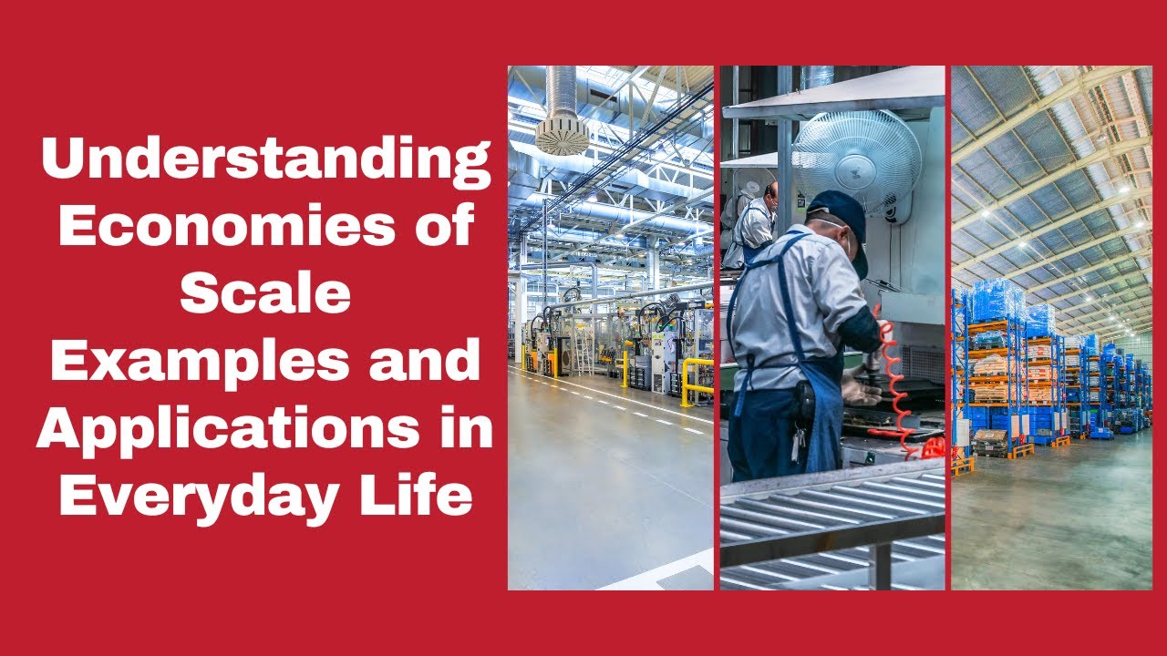 Understanding Economies of Scale Examples and Applications in Everyday ...