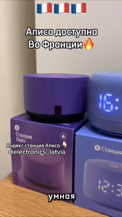 Алиса работает во Франции! Instagram: electronics_latvia 🙂#франция # ...
