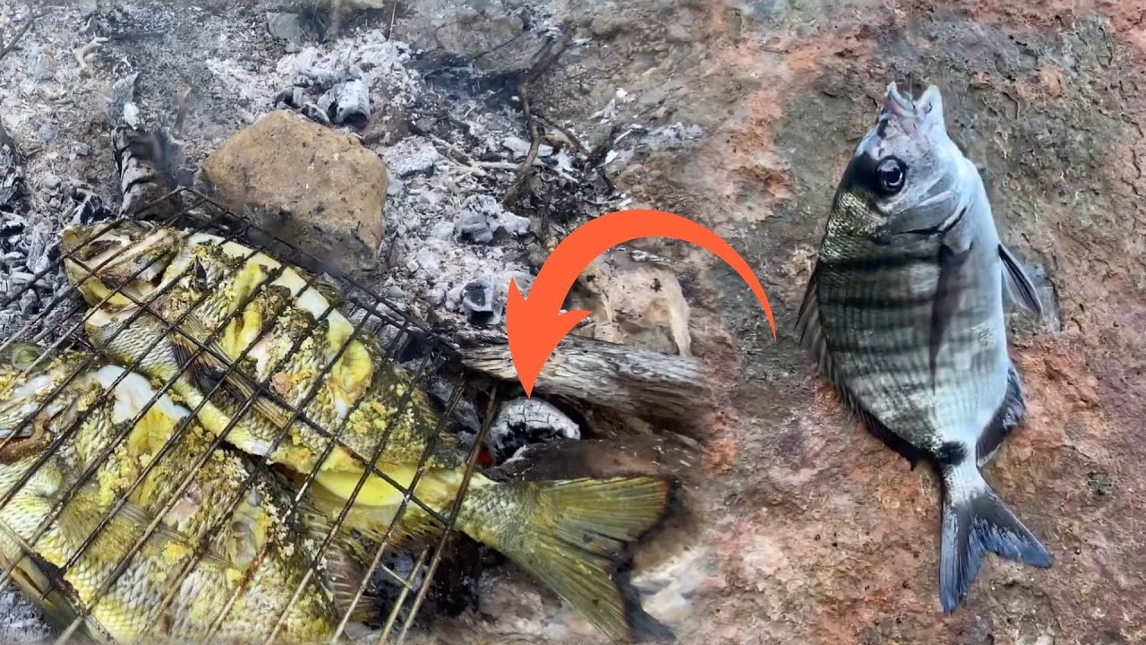 A fishing trip /This is how I cooked fish in the wild on a journey to ...