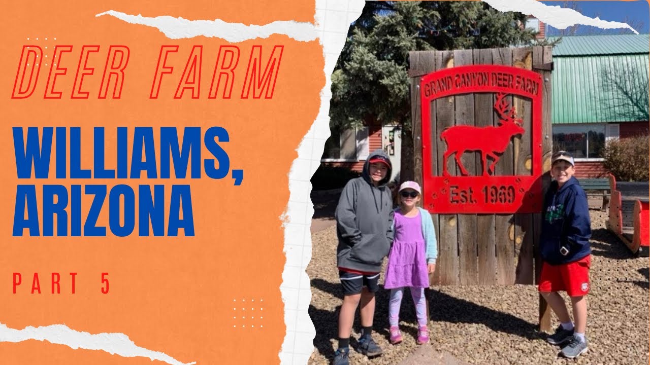 DEER FARM | Williams Arizona - YouTube