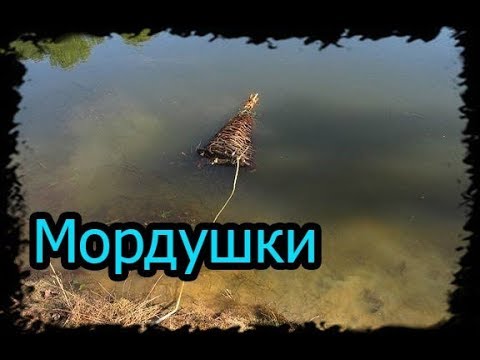 Рыбалка на мордушки, Ловушки для рыбы. - YouTube