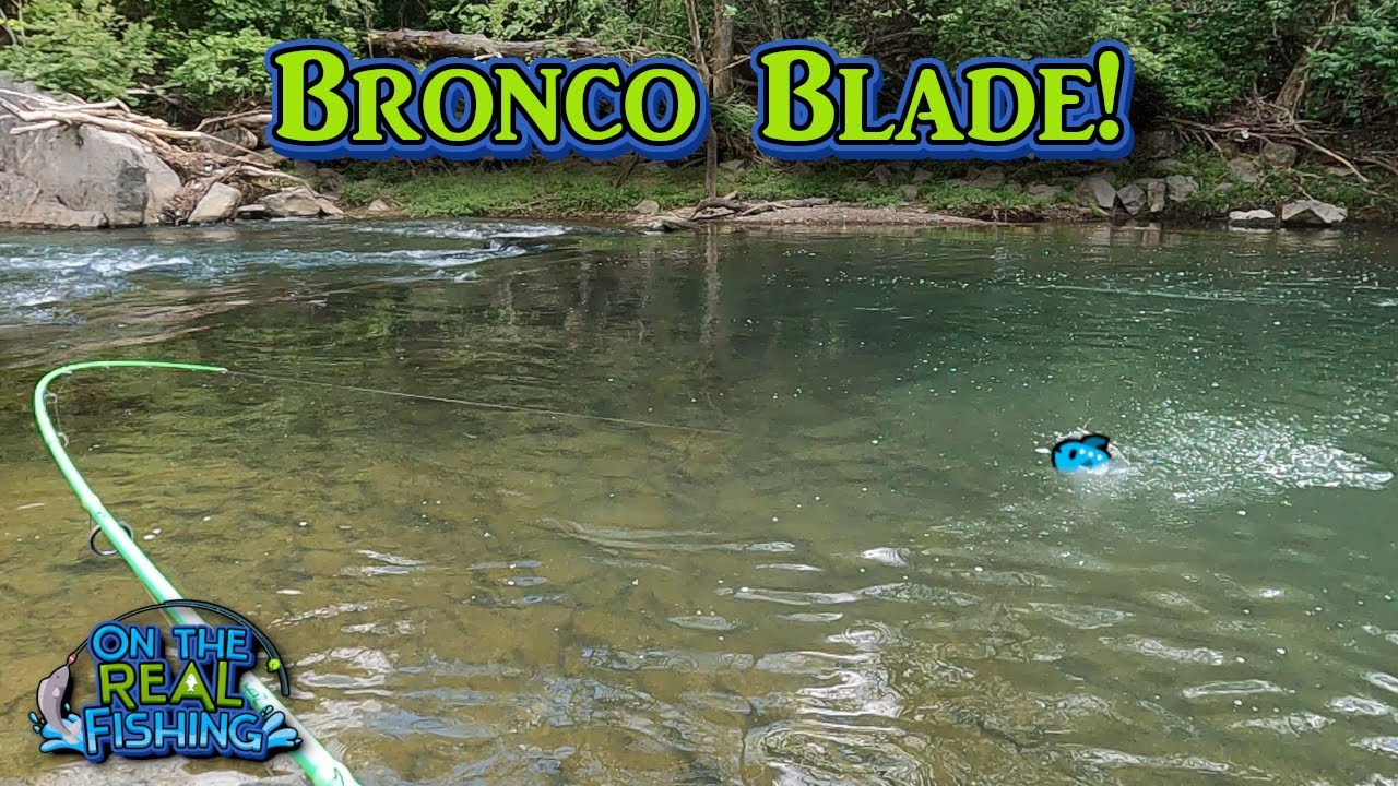 Creek Fishing for ANYTHING with the Mule Fishing Bronco Blade! - YouTube