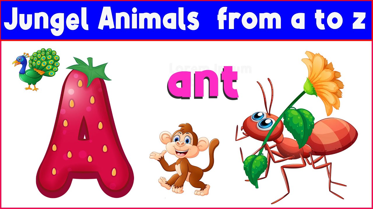 ABC Learning For Kindergarten | A to Z Words | Alphabets | Kids ABC ...