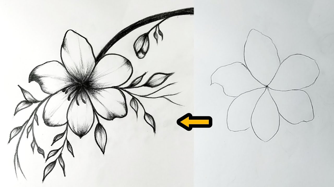 how to draw flowers with pencil || flowers drawing easy - YouTube