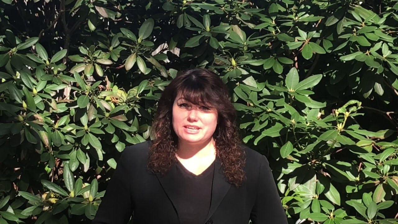 Victoria Sullivan for NH State Representative Ward 9, Hillsborough ...