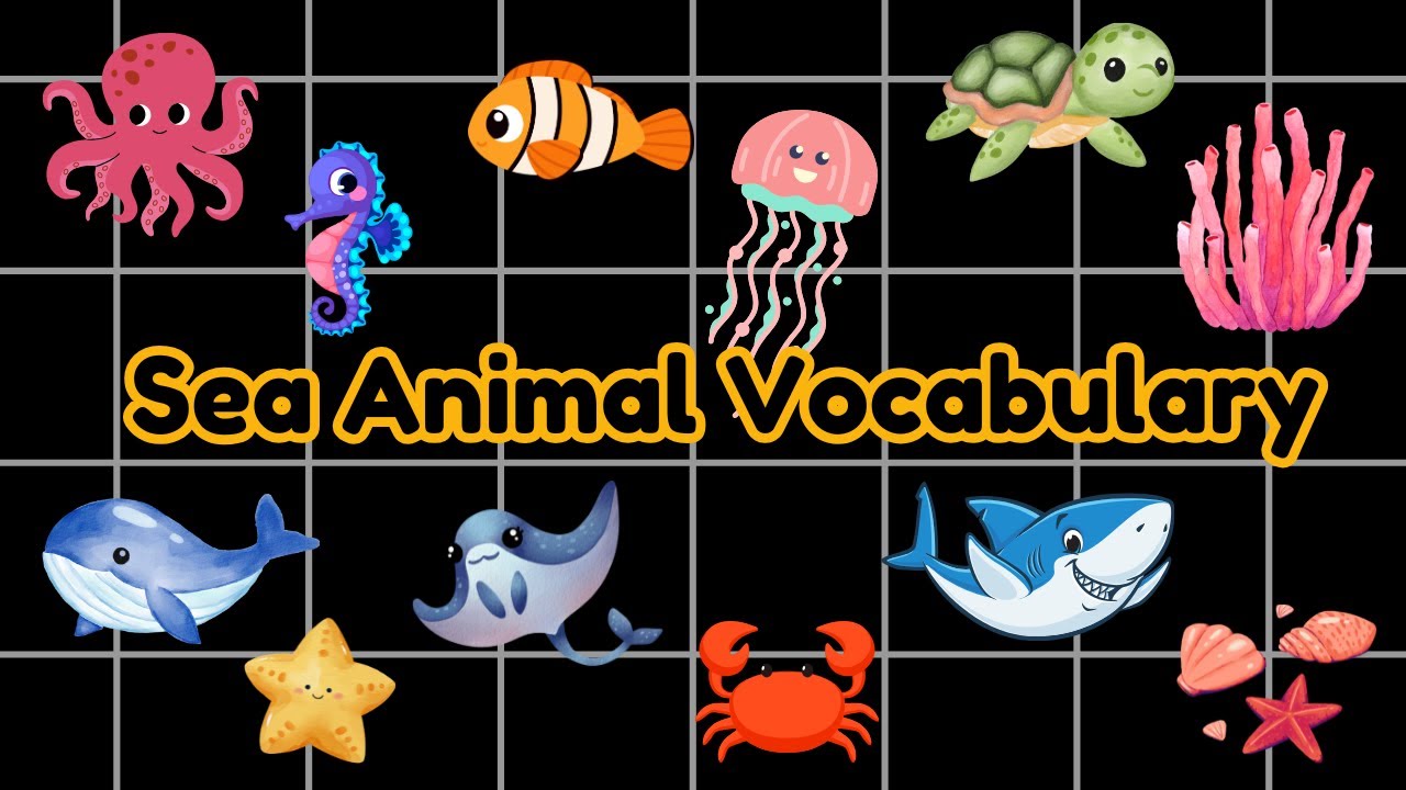30 Sea Animals for Kids to Learn | Learn Sea Animal Vocabulary - YouTube