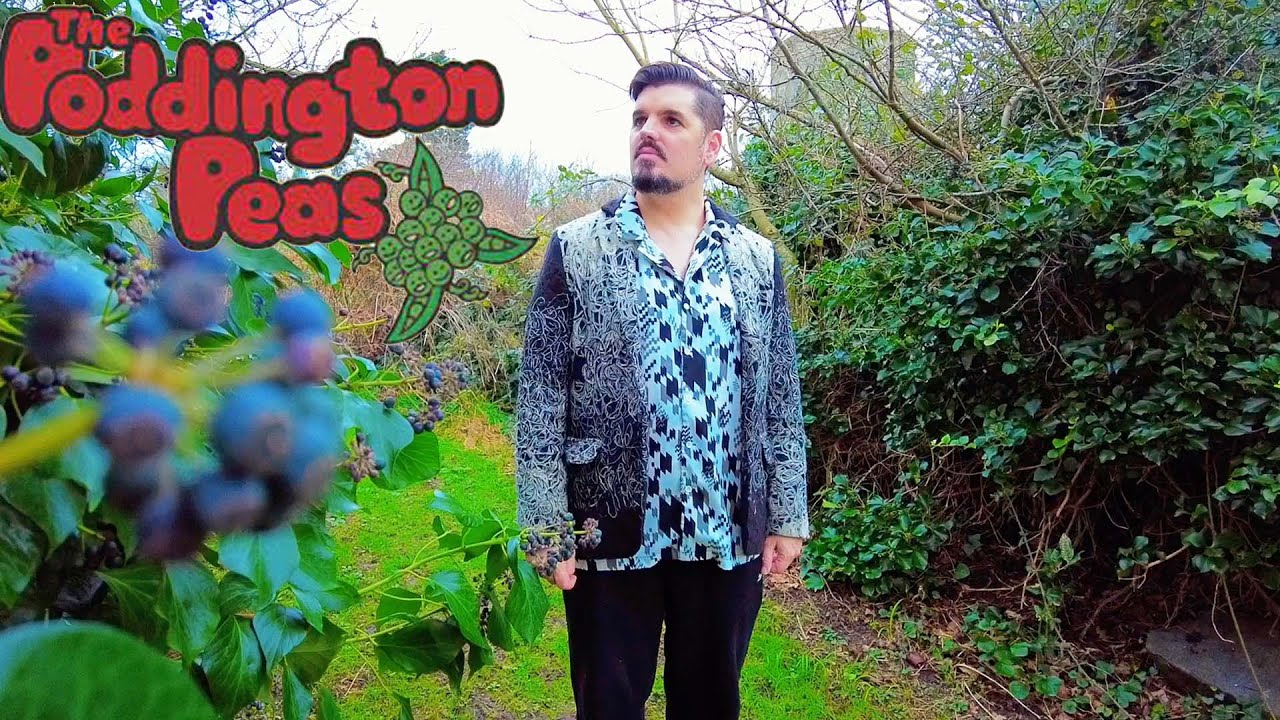 The Poddington Peas (cover) - Singing With Myself - YouTube