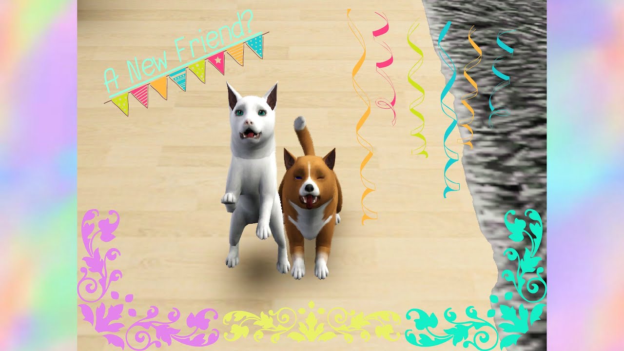 Differences~Episode 2 (Sims 3 Pets Story) - YouTube