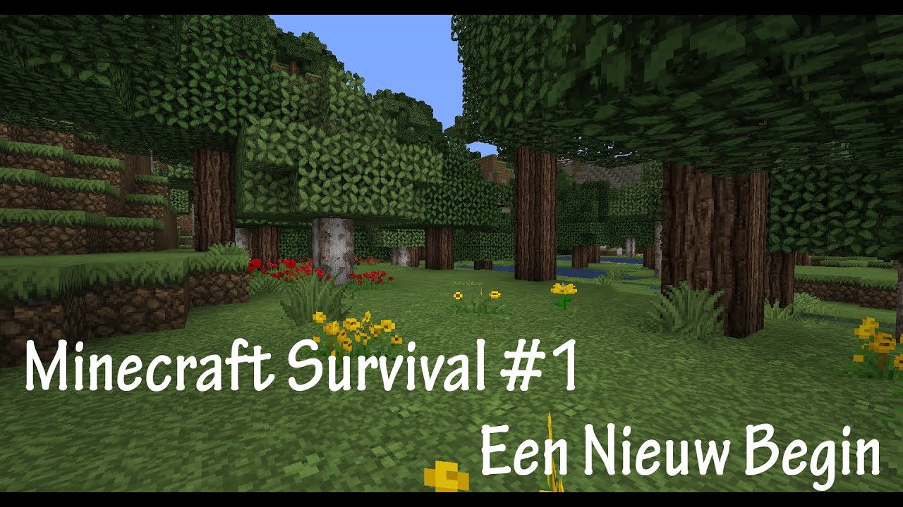 minecraft survival #1 een nieuw begin - YouTube