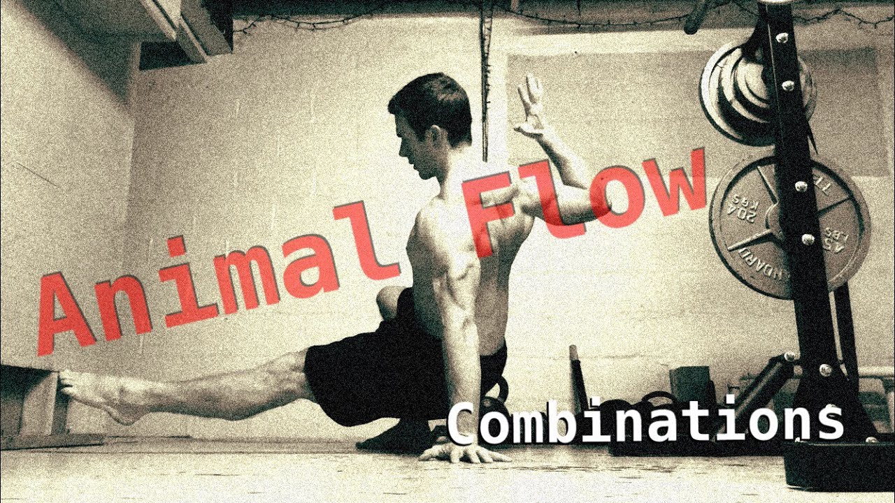 Animal Flow Movements for Core Stability, Strength & Endurance - YouTube