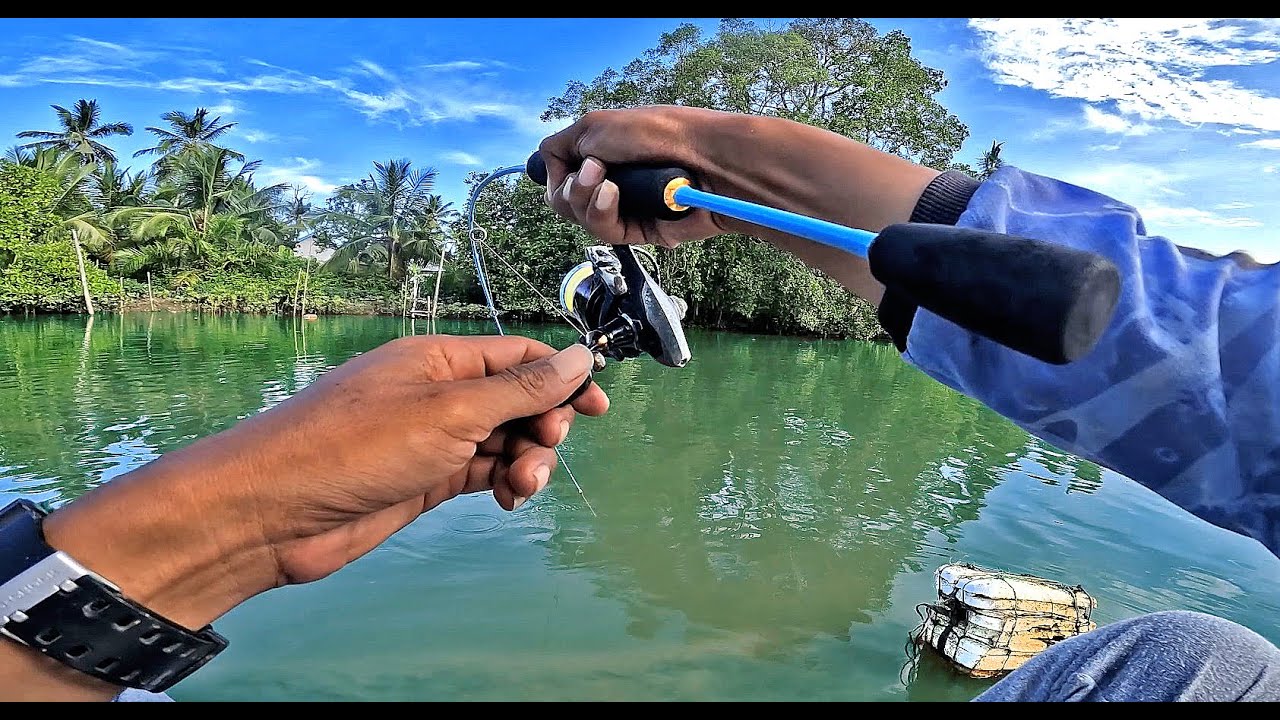 Rumpon Gabus Timbul - YouTube