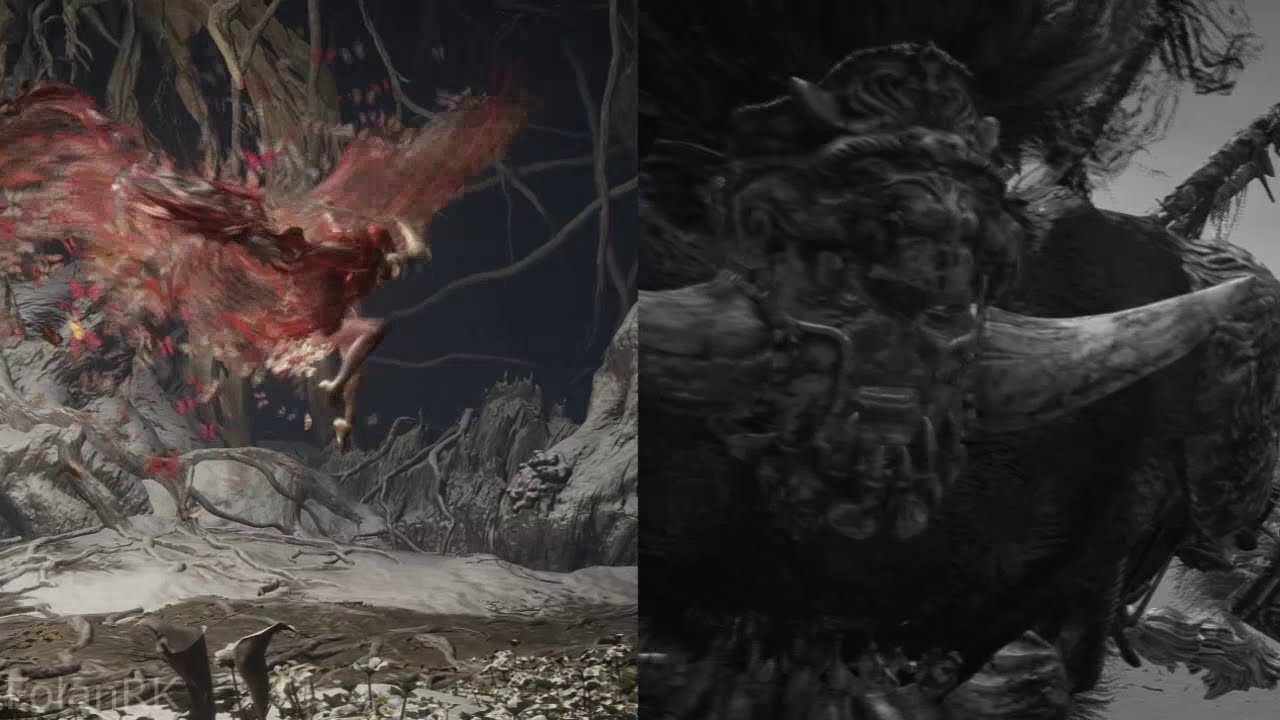 Average Rotussy fan VS Average Chadahn enjoyer - YouTube