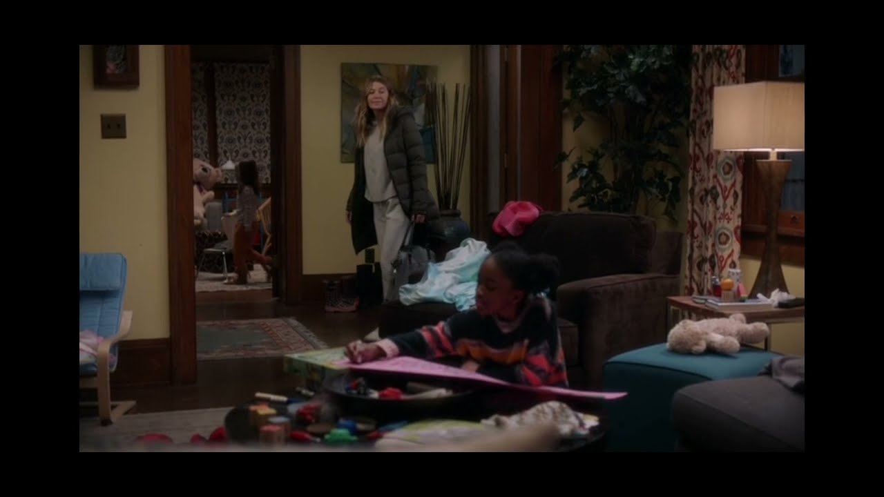 Amelia and Meredith | Grey's anatomy season 17x15 | scene 2 - YouTube