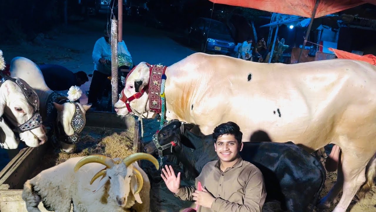 4 SINGH Wala :DUMBA KI SINGH PER YEH KAY HOGAYA 😱🤔 - YouTube