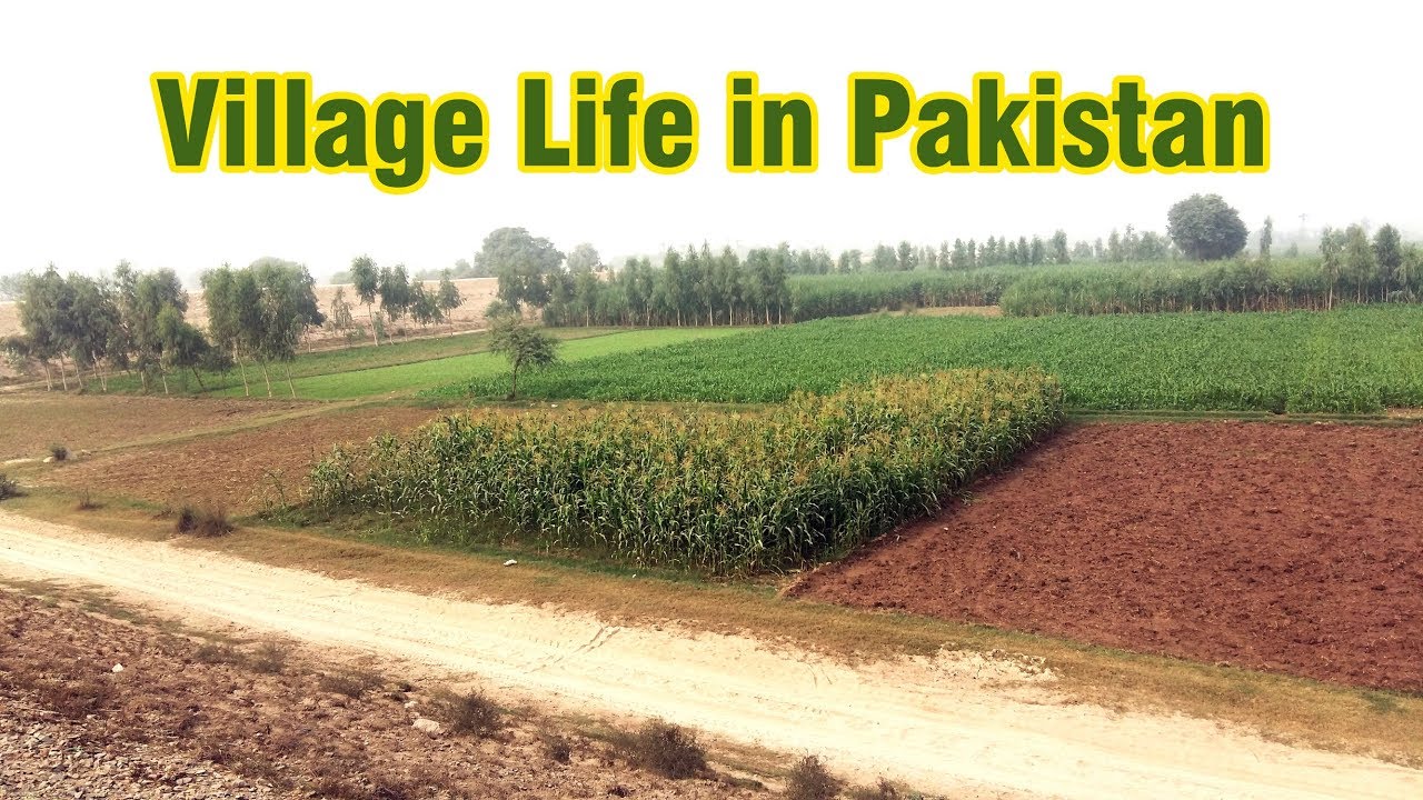 Pakistani village lifestyle, Pind di yaad @SurvivalBuilder - YouTube