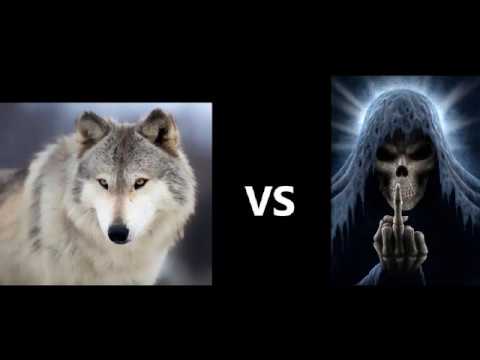Dire Wolf vs The Reaper- Quem vai ganhar? (Germs.io) - YouTube