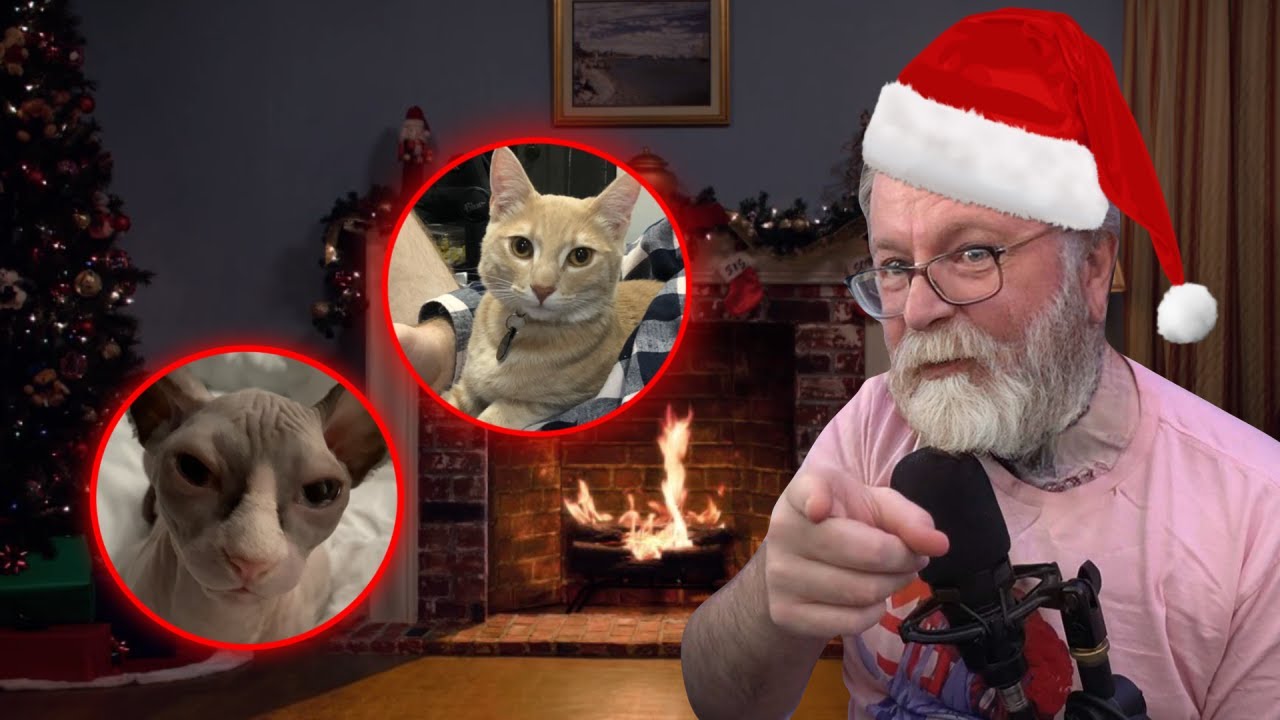 HD VAUSH + ARTEMY + PIGEON YULE LOG ONE HOUR CHRISTMAS MIRACLE - YouTube