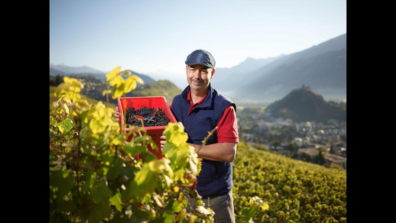 Primus Classicus - Jacques Andre à Diolly - YouTube