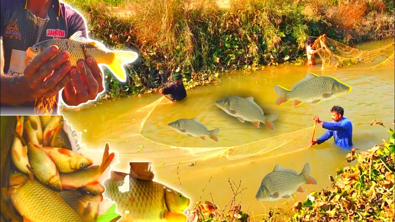Aj hum Ny Bohot sari Fish🐟 pakri🤩| Fishing with net in Pakistan - YouTube