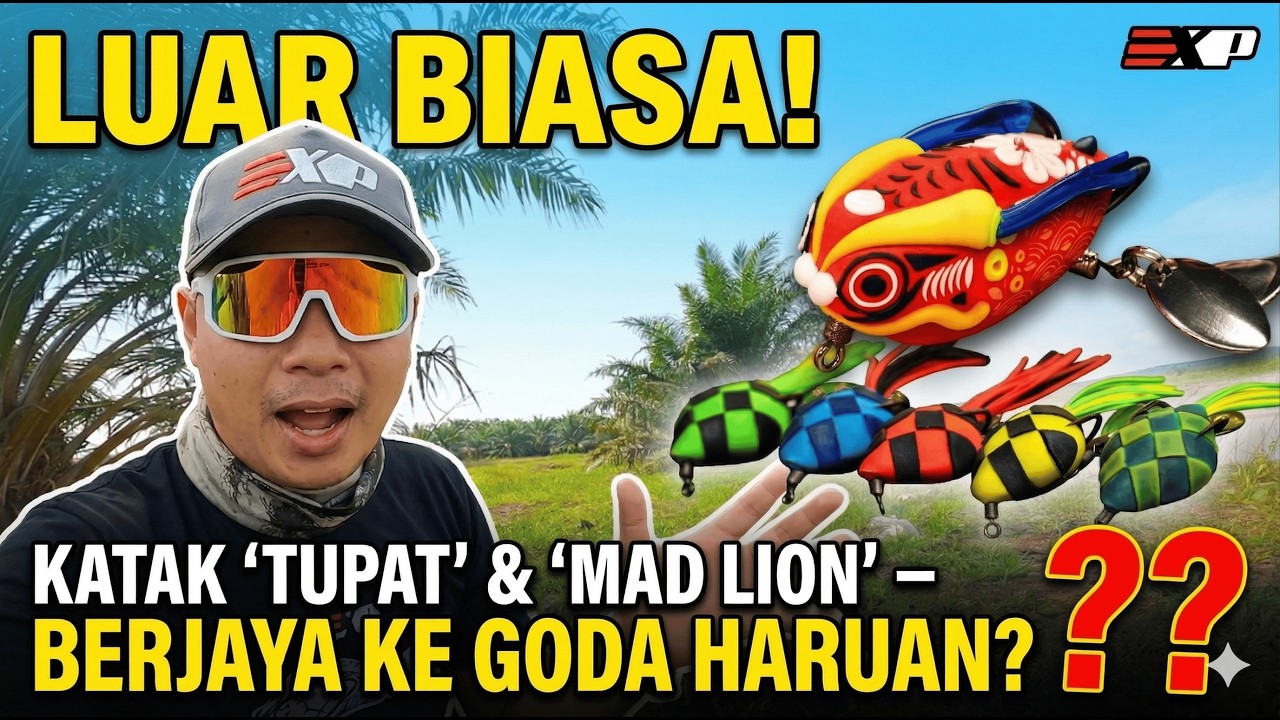 "Pertempuran Softfrog Raya! Siapa Lagi Power: Tupat atau Mad Lion ...