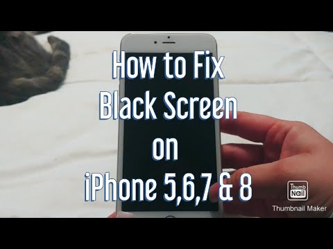 How To Fix a Frozen or Black Screen on A iPhone 6, 7, 8 & Plus - YouTube
