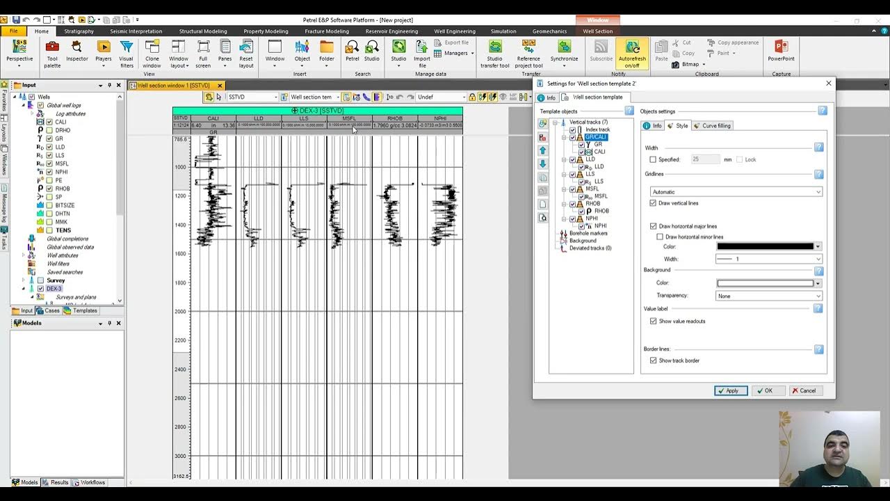 Petrel Tutorial: Import Open Hole Logs intp PETREL (basic level) data ...