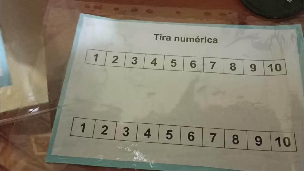 Modelo de la tira numérica y rejilla - YouTube
