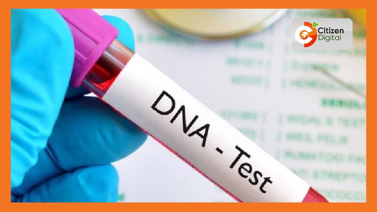 DNA Test Kit Buzz Why The DNA Test Kit Got Kenyans So Worked Up dna-test-kit-buzz-why-the-dna-test-kit-got-kenyans-so-worked-up