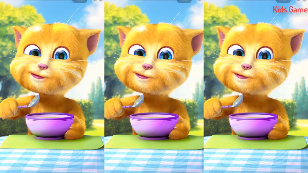 😸 Talking Ginger 😸 Talking Tom 2020 🏆 - YouTube
