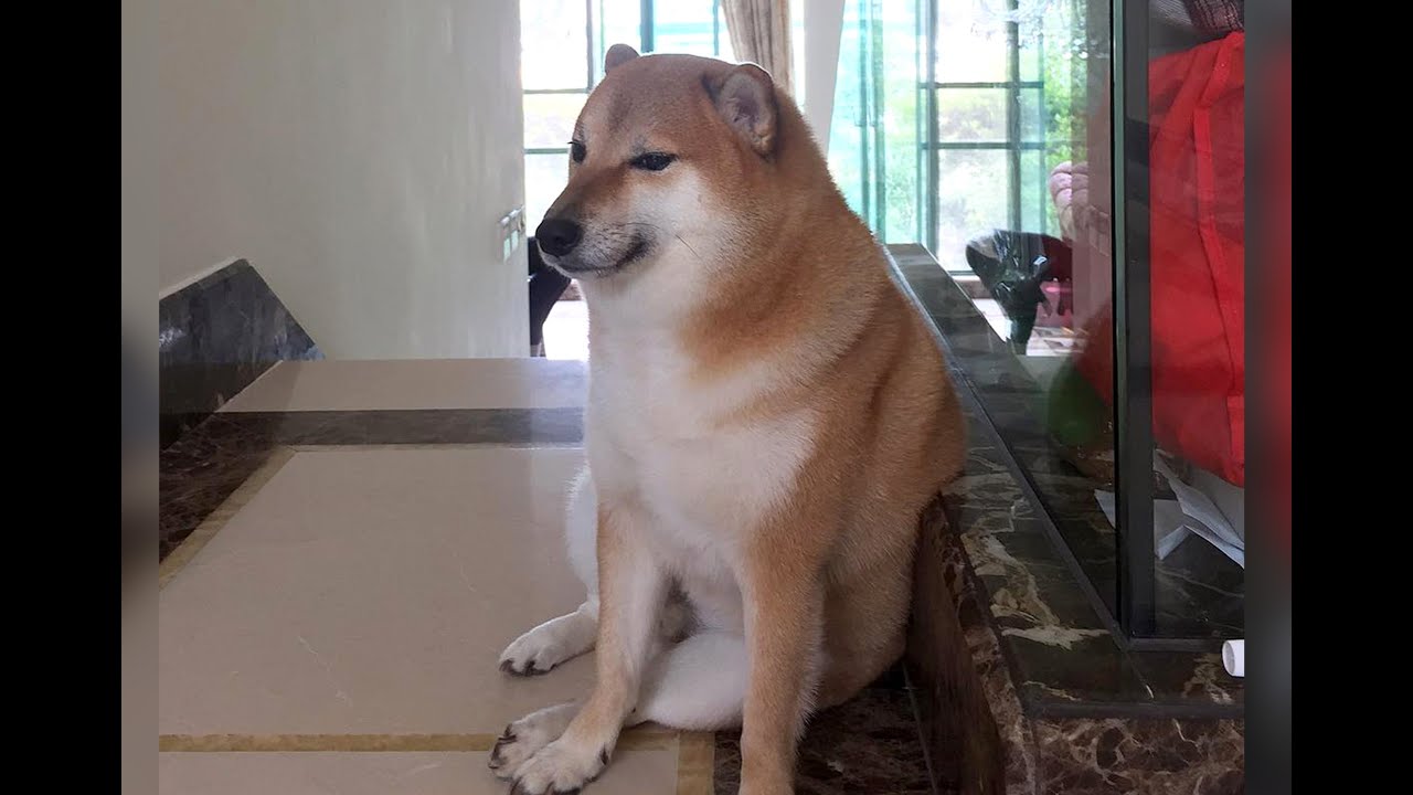 POPE GAMING(WARNING: GETTING OVER IT, It gets soooo bad)!!!!!!!! - YouTube