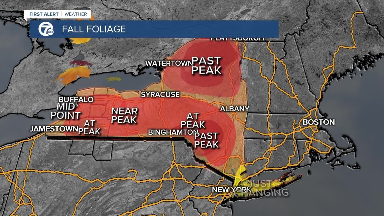 7 First Alert Forecast 1007 5PM - YouTube