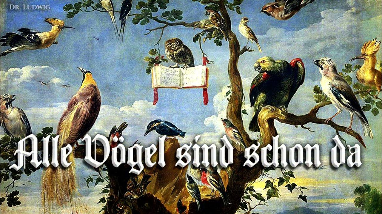 Alle Vögel sind schon da [German folk song][+English translation] - YouTube
