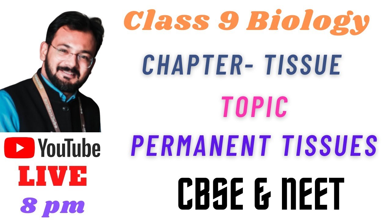 Permanent Tissue Class 9 Biology NEET FOUNDATION CBSE YouTube permanent-tissue-class-9-biology-neet-foundation-cbse-youtube