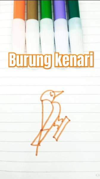 Belajar menggambar burung kenari #facts #faktaunik #faktaislam #logo # ...