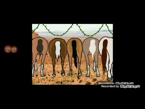 farting horses 2