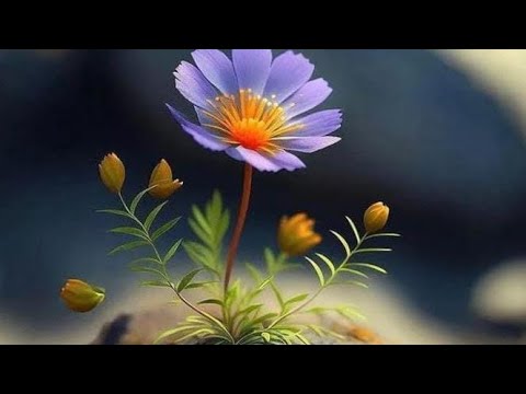 Hetta tayi tandegala song|Kannadasong|SMHEGDE|DASARAPADA #Smhegde # ...