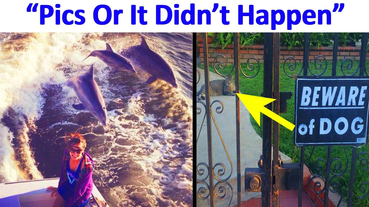 Most Unbelievable Moment That You Actually Captured On Camera - funny ...