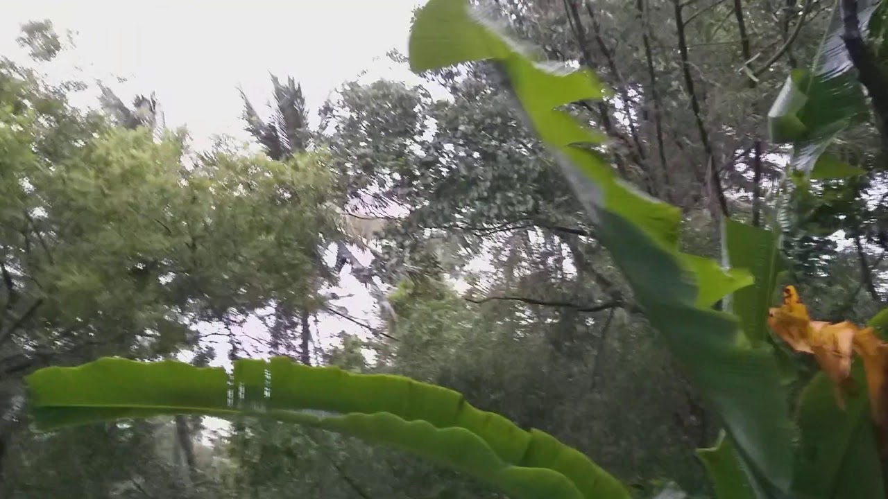 Cyclone Amfan live at padhuan Bhadrak. - YouTube