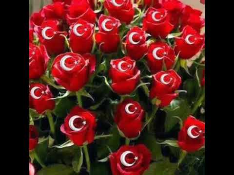 Muhittin duYu  dost için ölürüm şiir