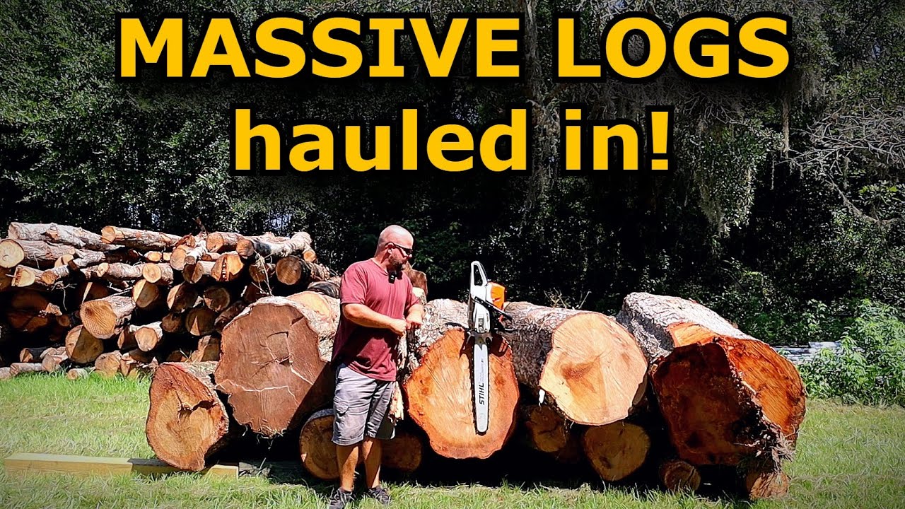 MASSIVE logs with the Stihl MS462 and Iron Bull Norstar dump trailer ...