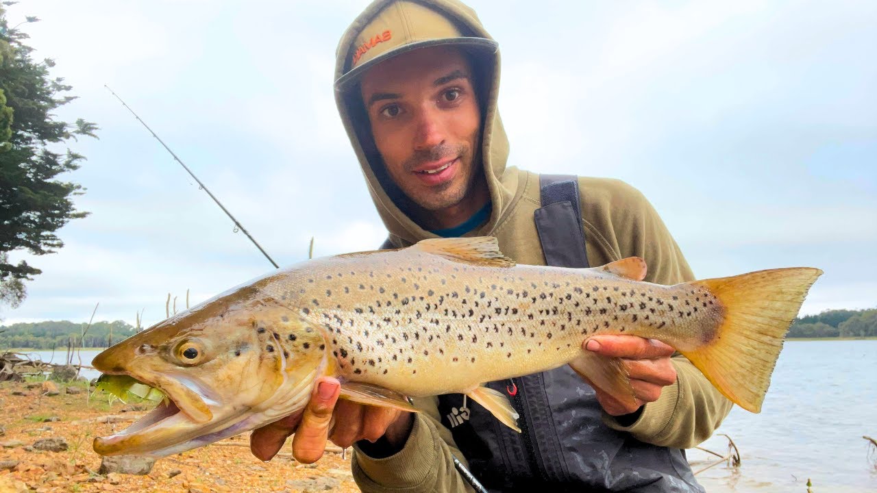 Trout and Redfin Fishing with lures! Melbourne Australia - YouTube