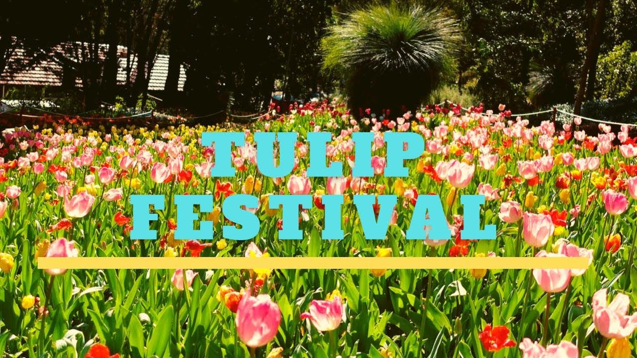 TULIP FESTIVAL, PERTH WA - YouTube