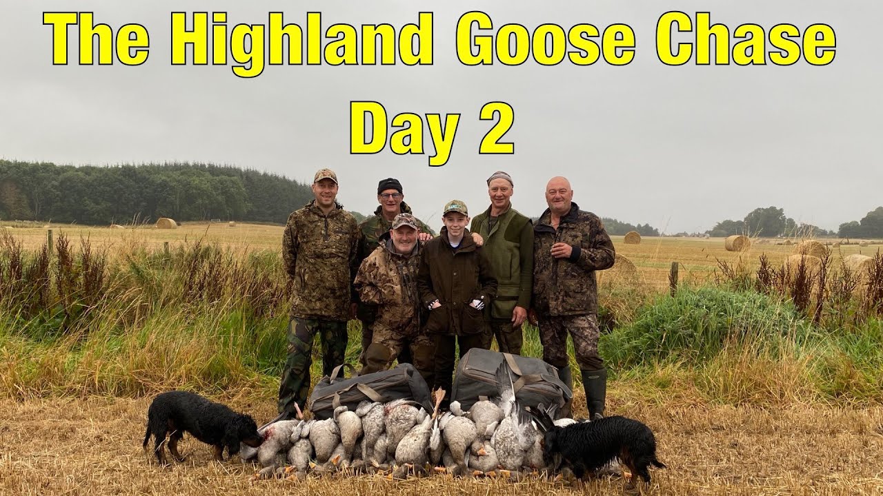 Goose Shooting - We Are Decoying Greylags In The Highlands Of Scotland ...
