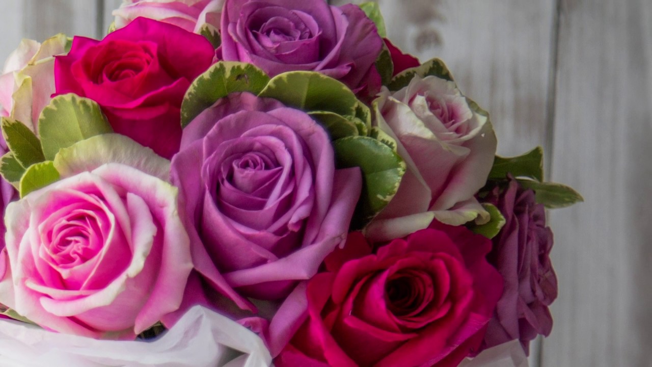 Bleems rebrands, expands - YouTube