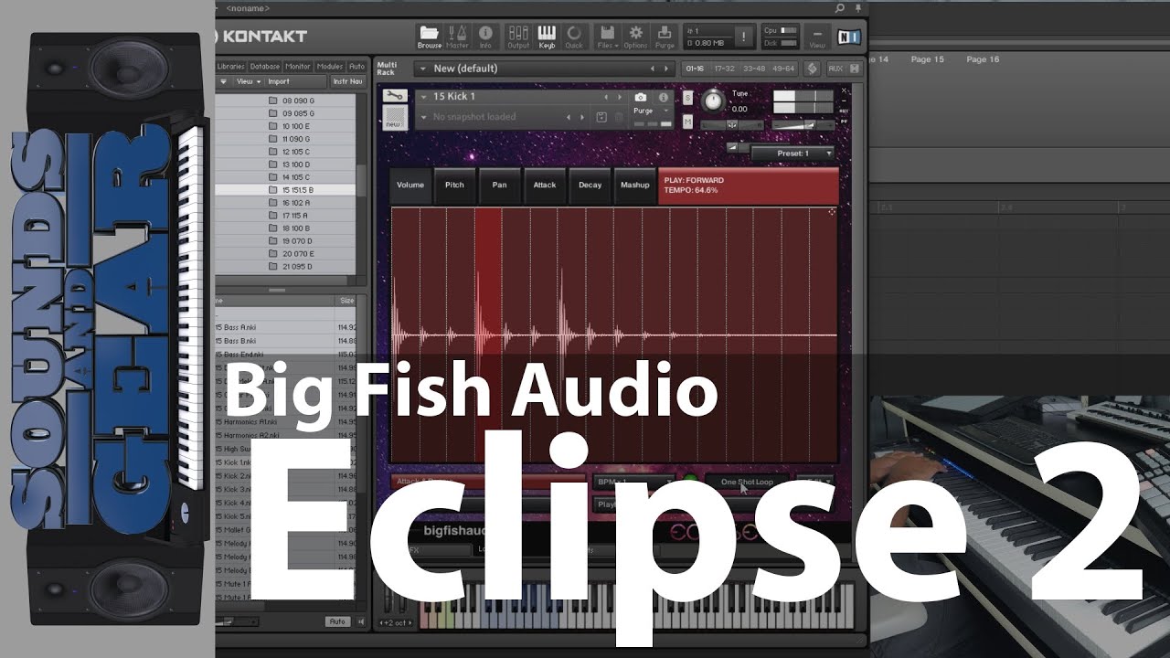 Big Fish Friday: Eclipse 2 Ambient Guitars Review - @SoundsAndGear - YouTube