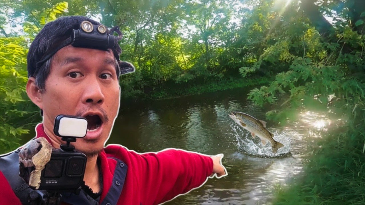 Walleye and Catfish from a Small Creek!(Cambridge) - YouTube