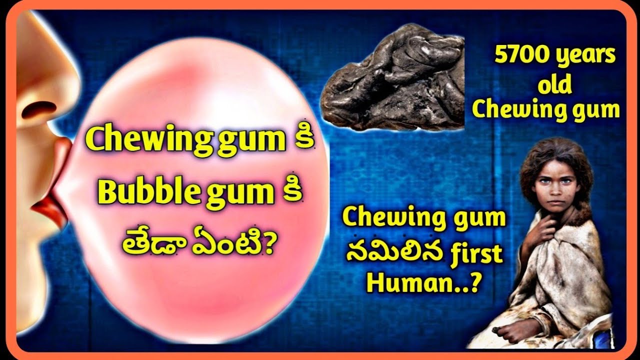 ⭐5700 years old Ancient chewing gum discovered - YouTube