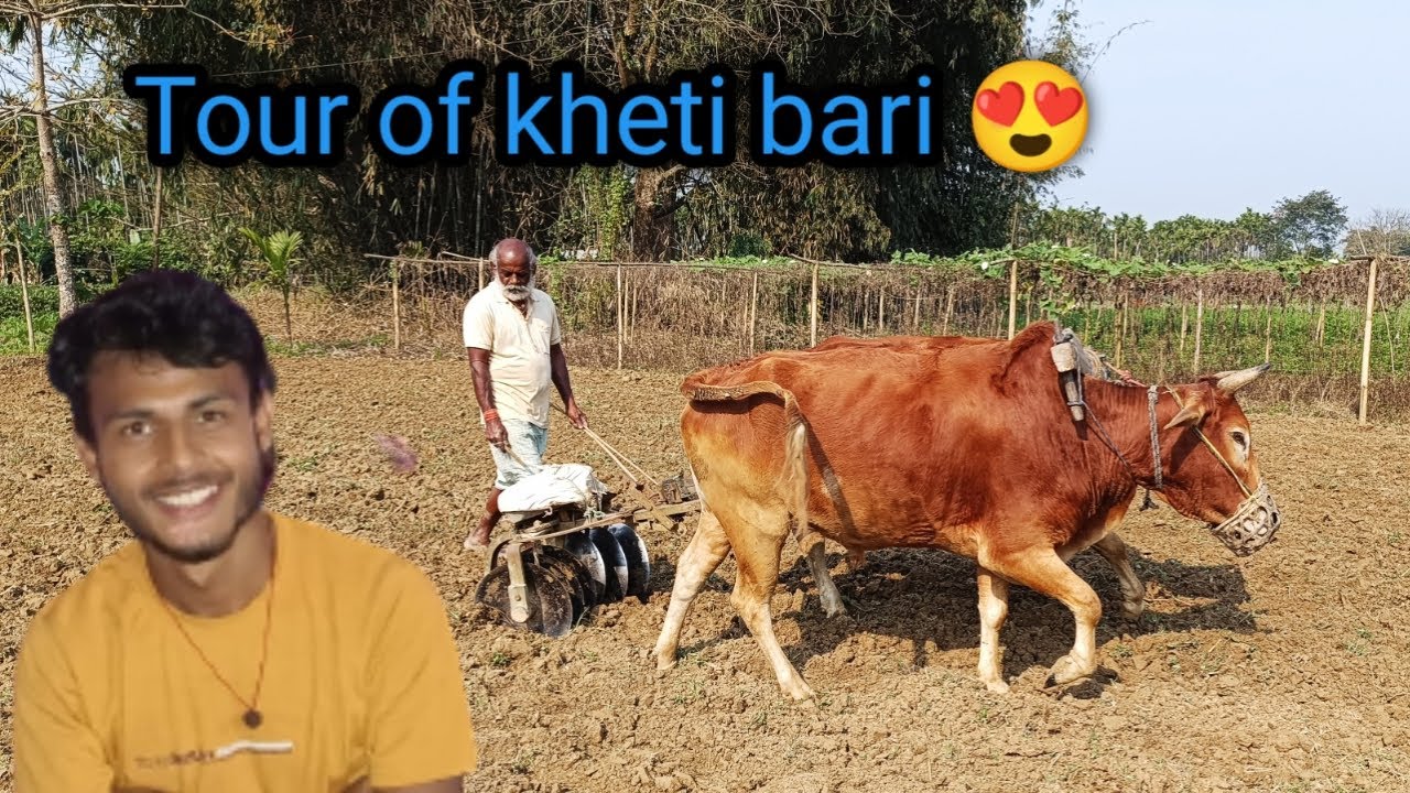 Tour of kheti bari | The daily life of a farmers👳👳👳💦 - YouTube